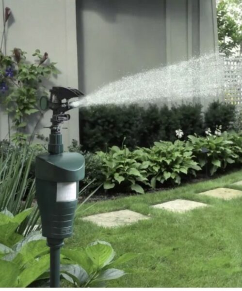 Motion Activated Sprinkler - Bird Control Australia