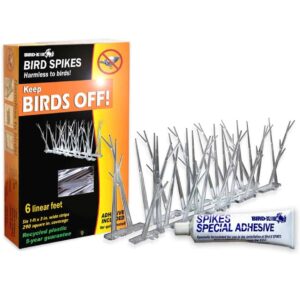 Visual Scare Bird Scare Balloons - 3 pack - Bird Control Australia