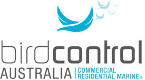 Buy Pigeon Proofing, Bird Deterrents, Parrots Scarers, Repellers ...