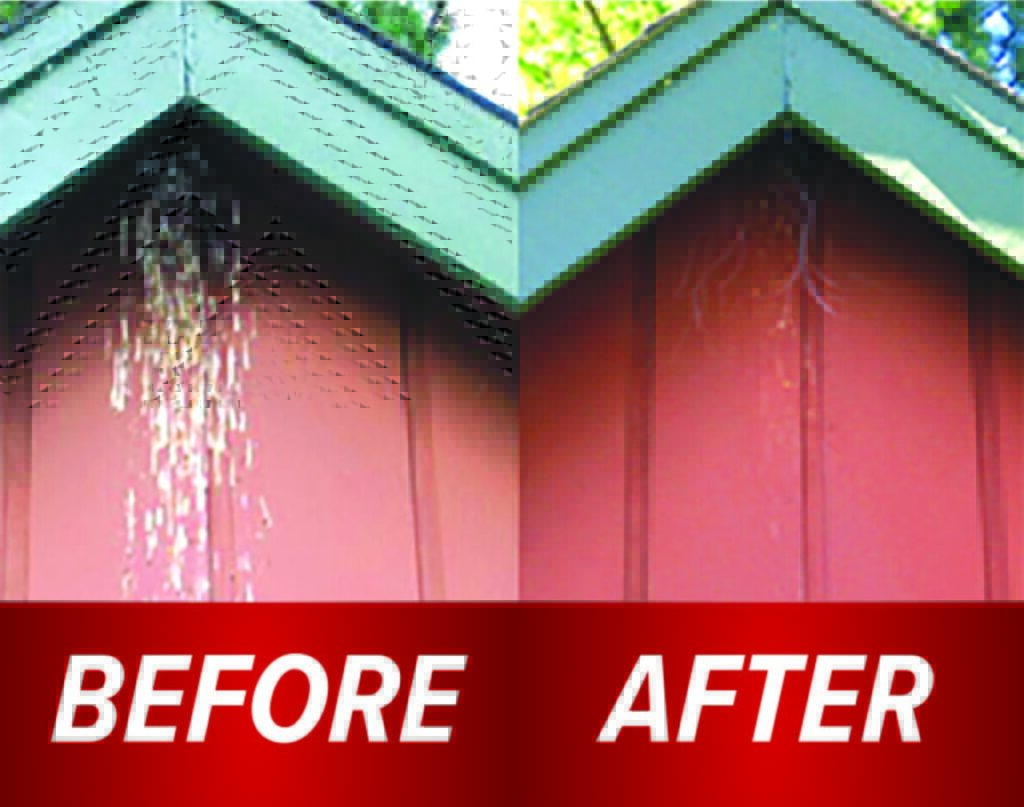 SWALLOW SHIELD SWALLOW AND BAT DETERRENT - Bird Control Australia