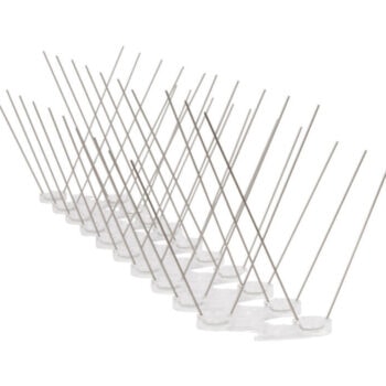Buy Bird Spikes and Guard Your Properties from Pest Birds - Bird ...